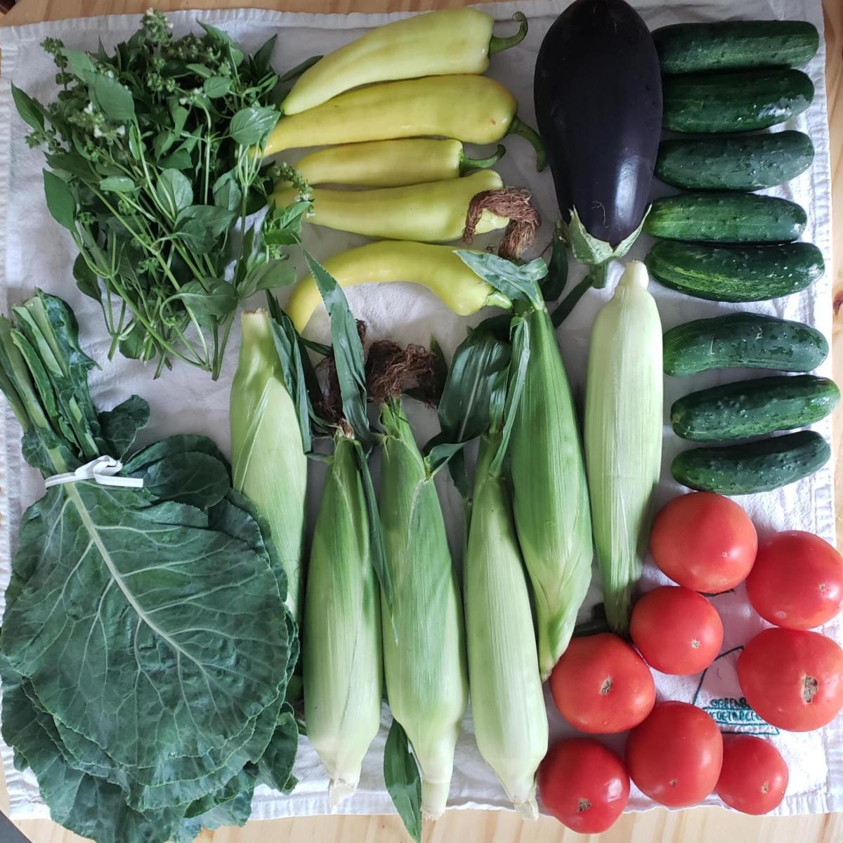 Week 14 Unboxing – Greenbelt Vegetable Club