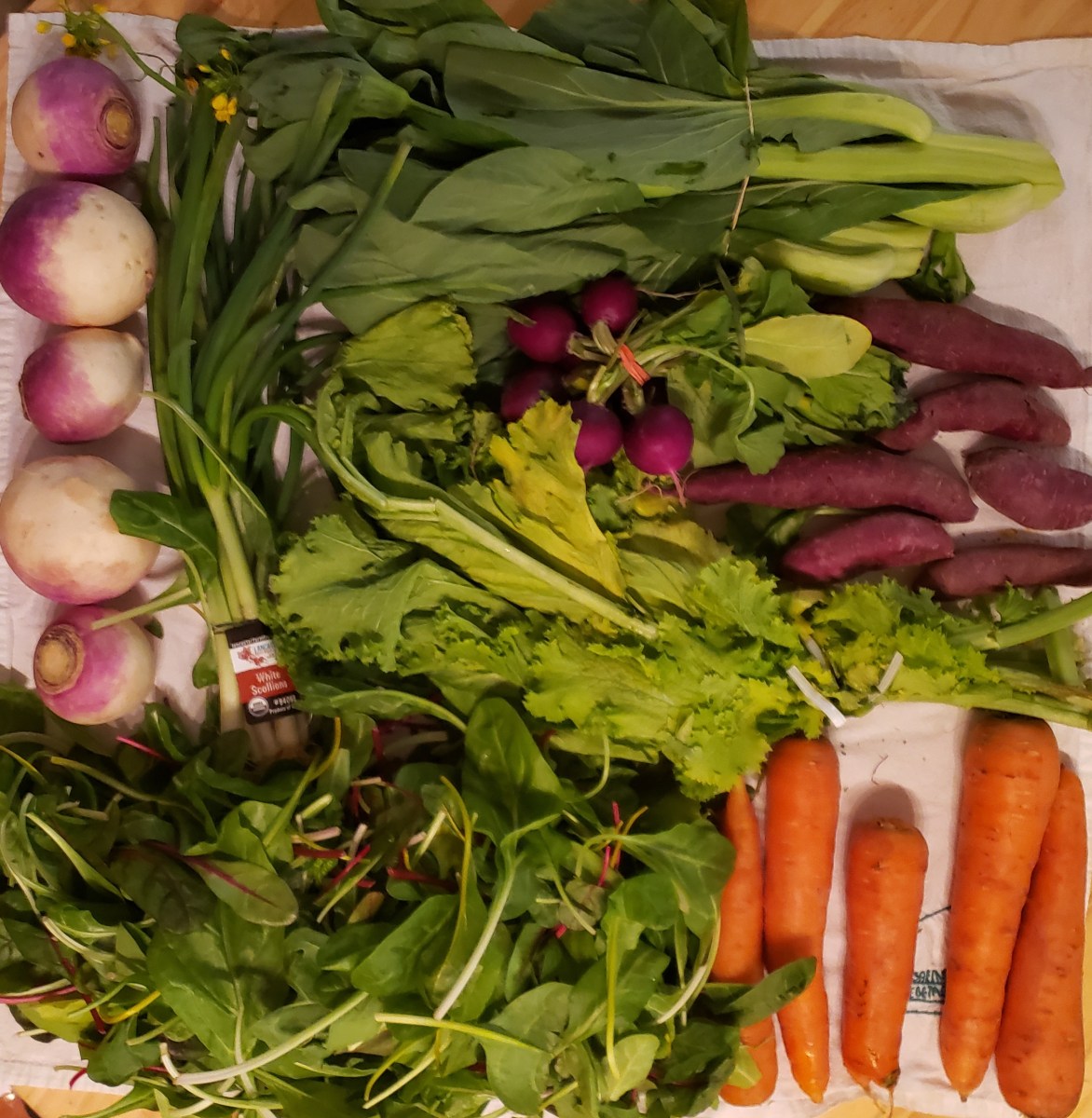 Week 9 Unboxing – Greenbelt Vegetable Club