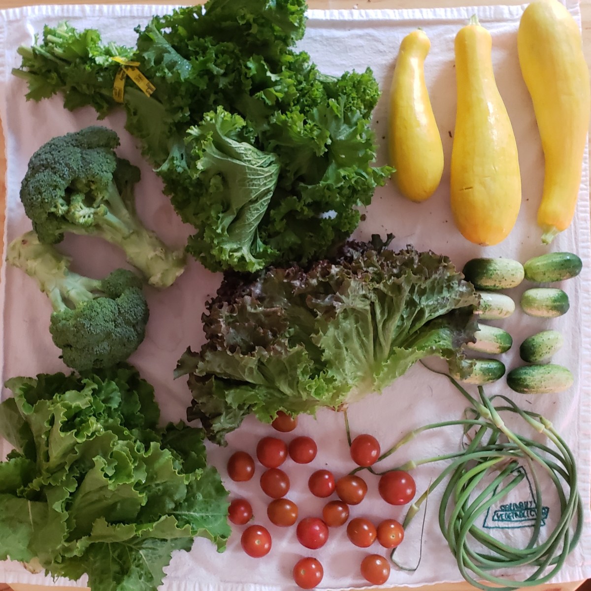 Week 7 Unboxing – Greenbelt Vegetable Club