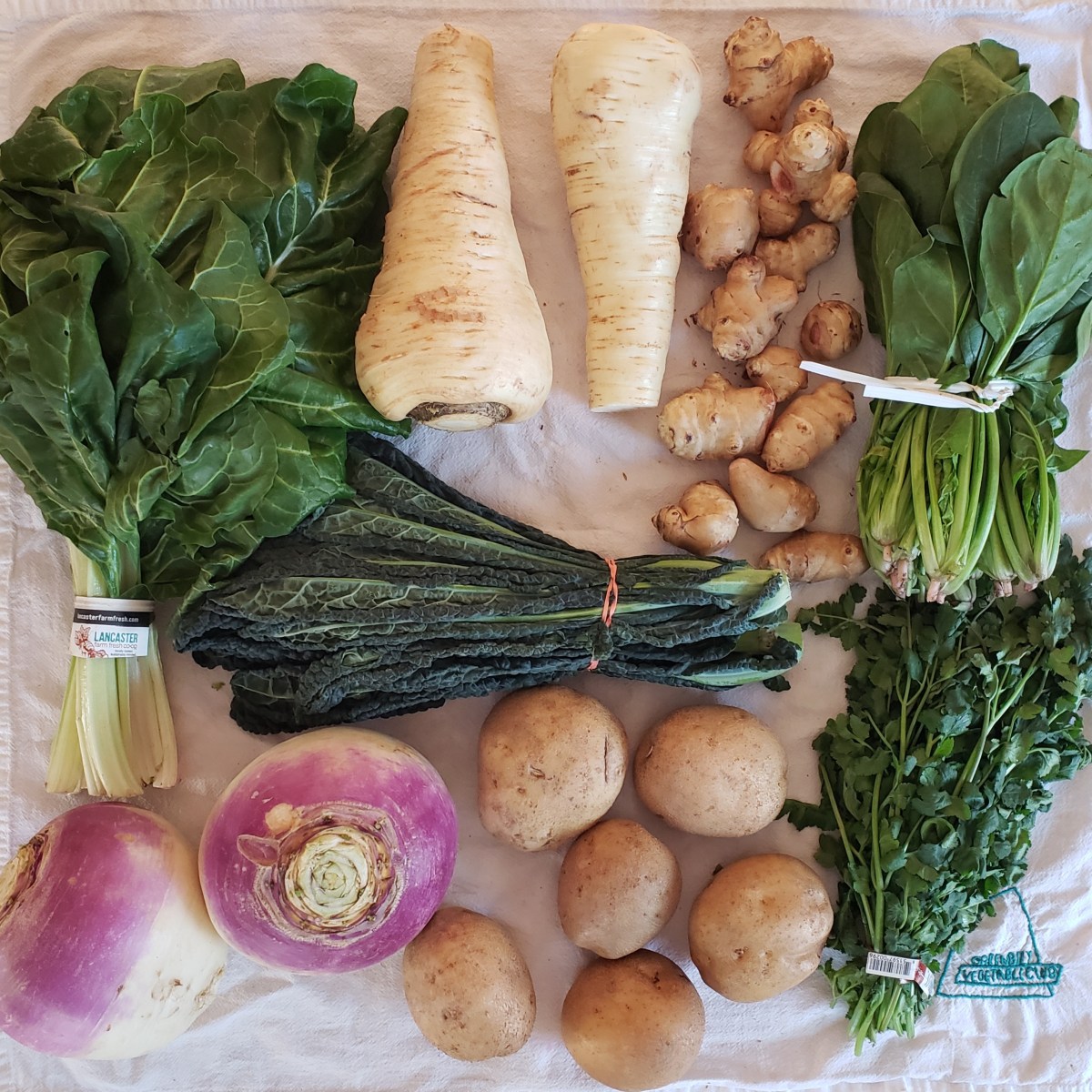 Week 5 Unboxing – Greenbelt Vegetable Club